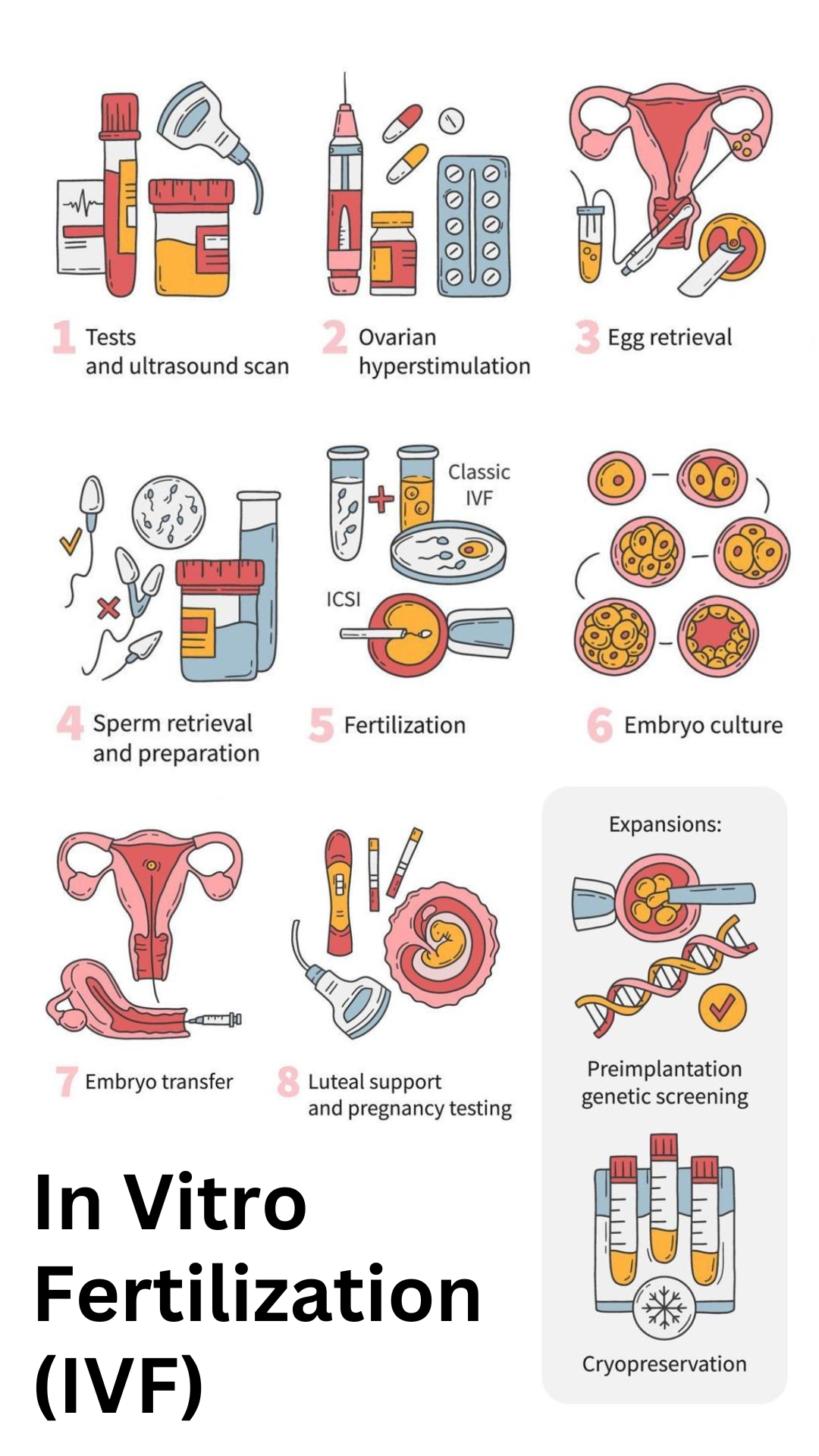 Test Tube Baby vs IVF: Key Differences, Cost, and Success Rates ...